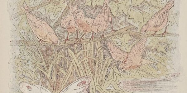 Hans Christian Andersen – The Nightingale